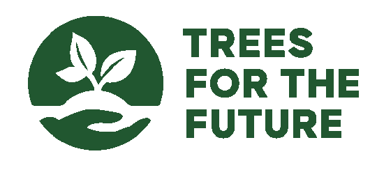 Tails on Fire ENGLISH von HeidelBär Games - hier online bestellen